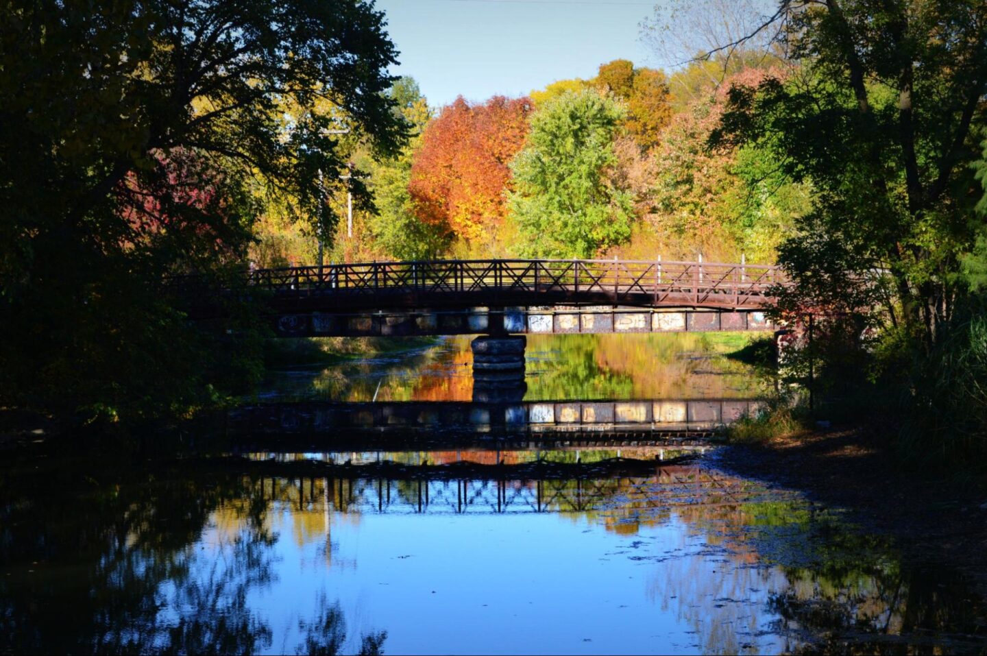 2023 Guide: Top Spots for Fall Foliage Viewing in Madison, WI - The Hub ...
