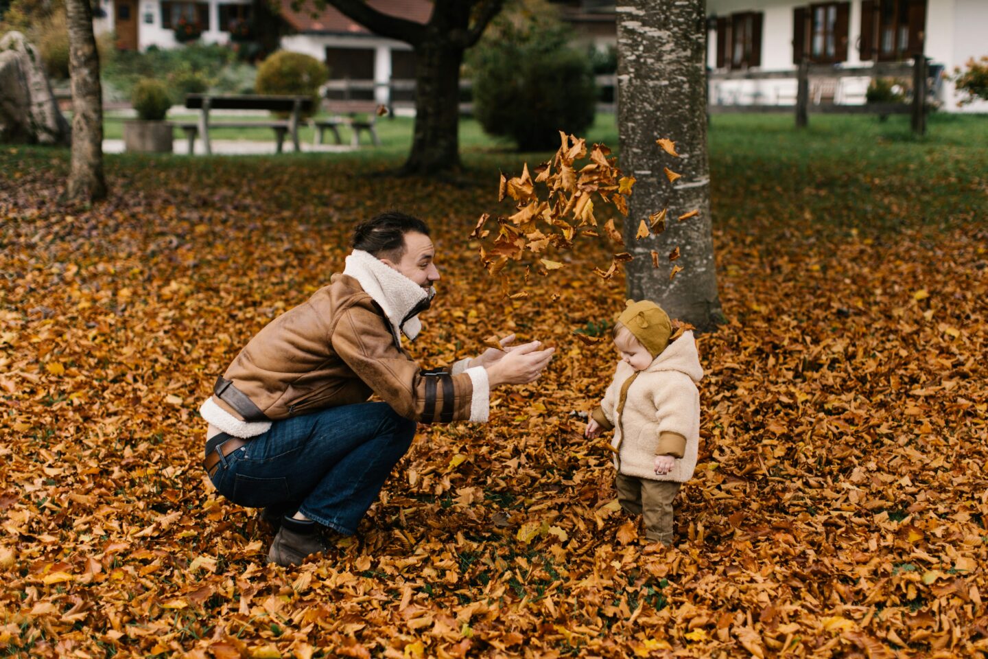 2023 Guide: Top Spots for Fall Foliage Viewing in Madison, WI - The Hub ...
